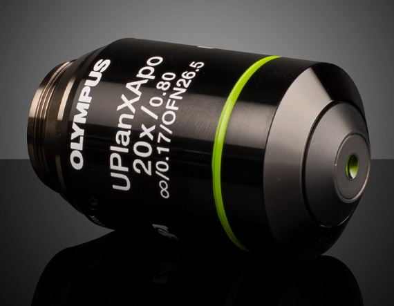 Olympus UPLXAPO 20X Objective | Edmund Optics